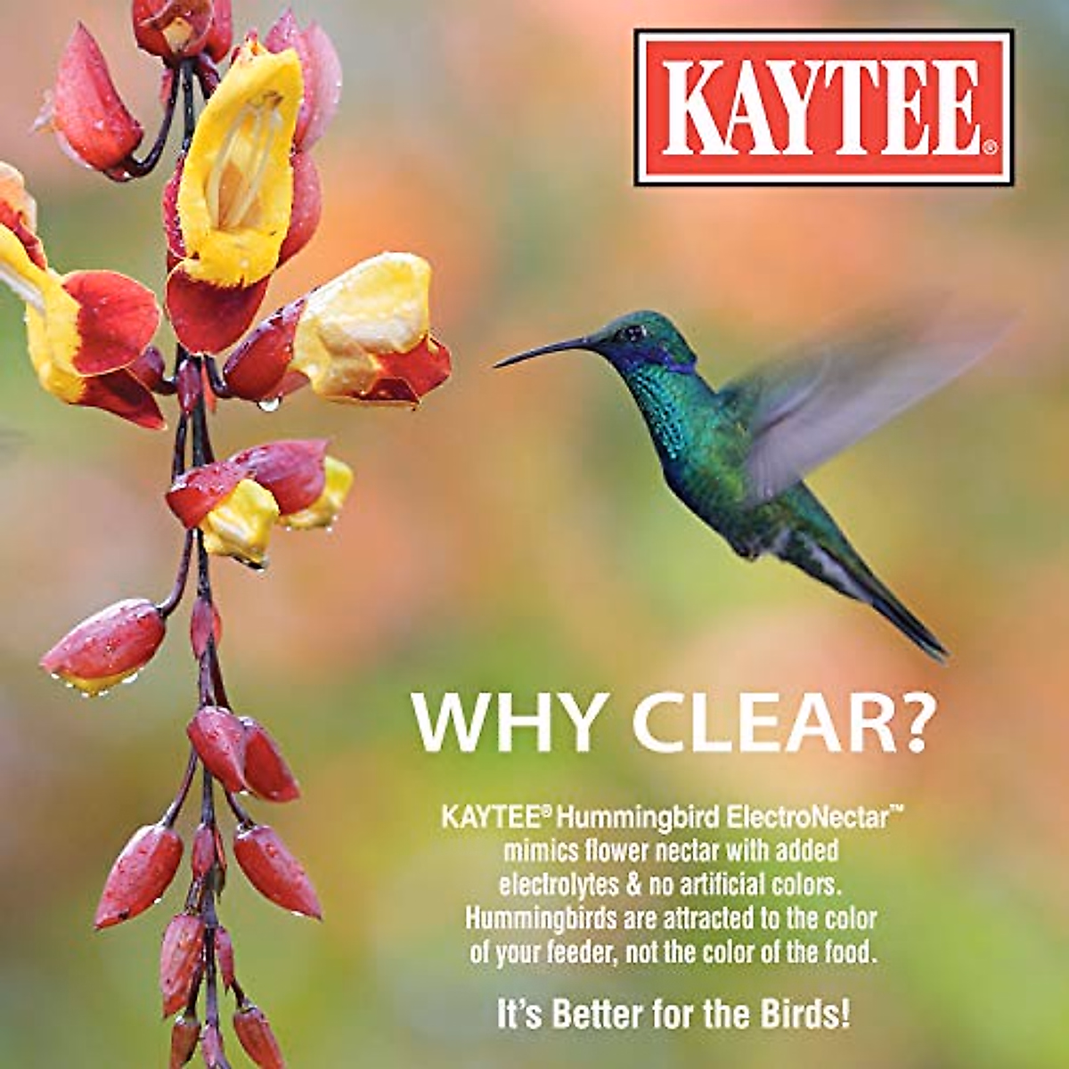 Kaytee Hummingbird ElectroNectar Wild Bird Food, Ready to Use, 64 Ounces