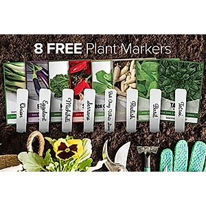 Asian Vegetable Seeds for Planting 8 Packets Bok Choy, Michihili (Napa) Chinese Cabbage, Tatsoi, Onion, White Radish, Serrano, Eggplant for Your Non GMO Heirloom Vegetable Garden by Gardeners Basics