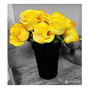 Camasker for Ring - Compatible with Ring Indoor Cam, Ring Stick Up Cam Battery & Ring Stick Up Cam Plug-in - Cover, Disguise & Camouflage Ring Surveillance Camera