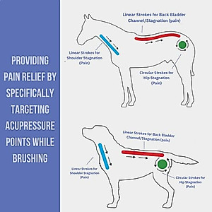 Curry on a Stik' - Dog Brush for Shedding, Grooming, Bathing, & Therapeutic Massage Tool - For Long & Short Haired Dogs - Decreases Shedding & Increases Coat Health - Veterinarian Approved - Ergonomic
