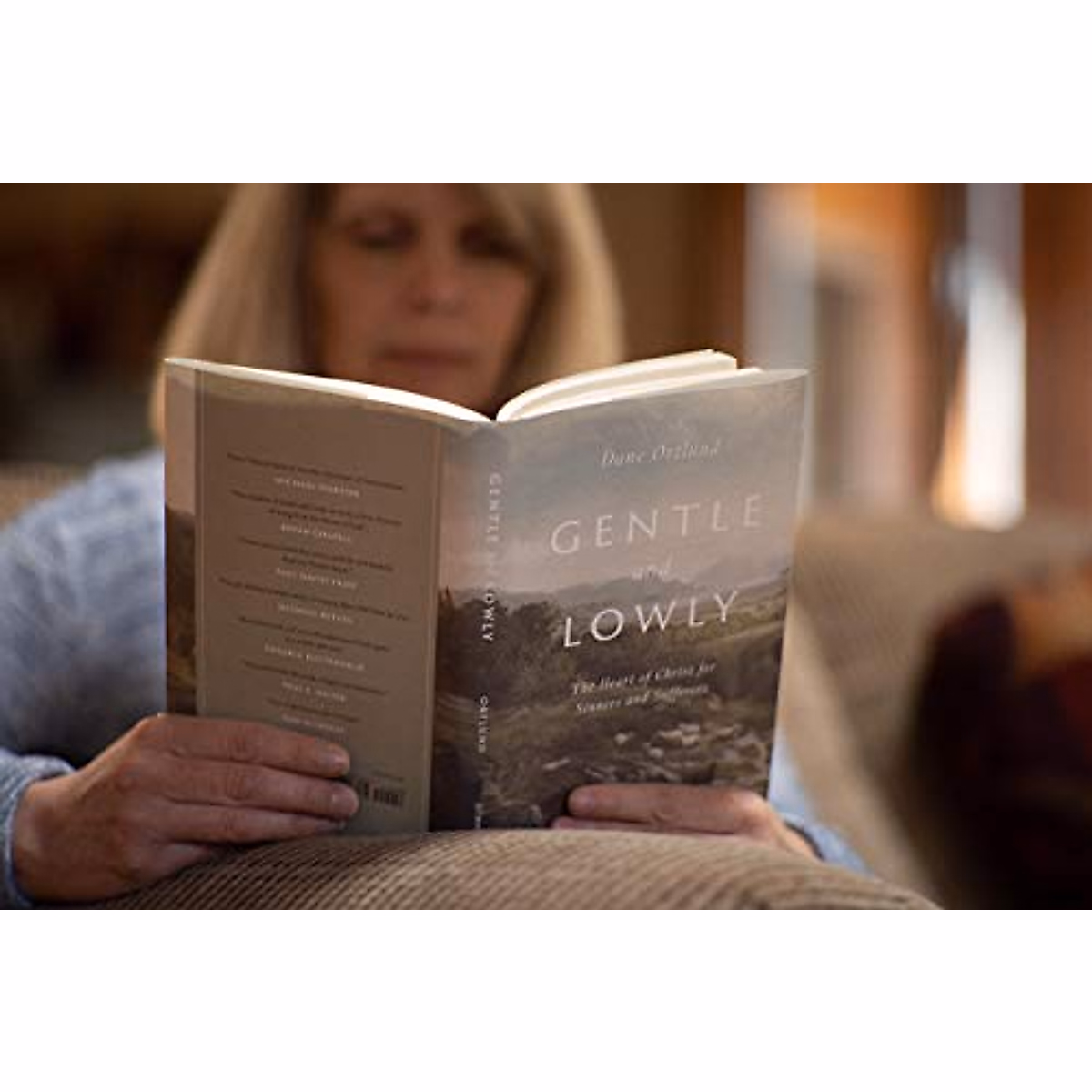 Gentle and Lowly: The Heart of Christ for Sinners and Sufferers