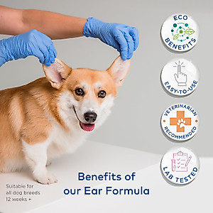 ARCA PET Dog Ear Cleaner Wipes - Vet Formulated Cleanser for Dogs - Ear Itching, Dissolves Wax, Dirt & Odor with Coconut Oil & Aloe Vera (50 Finger Wipes)