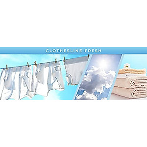 Smoke Odor Exterminator 13oz Jar Candles (Clothesline Fresh, 3) Set of Three Candles.