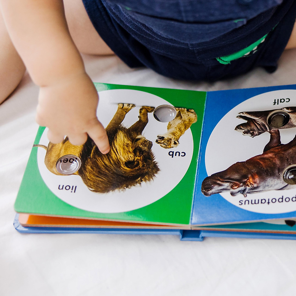 Melissa & Doug Children’s Book – Poke-a-Dot: Wild Animal Families (Board Book with Buttons to Pop)