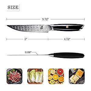 TUO Kitchen Steak Knife - 5 inch Straight Single Steak Knife - AUS-8 Japanese Steel - Full Tang G10 Handle - Falcon S Series with Gift Box