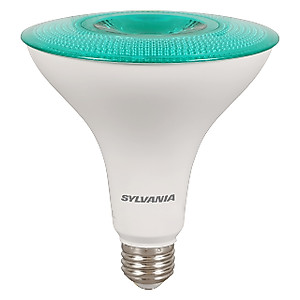 Sylvania LED Flood PAR38 Green Light Bulb, Efficient 9W, Non-Dimmable, 5 Year, E26 Medium Base - 1 Pack (40829)