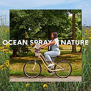 Ocean Spray® Craisins® Pomegranate, Dried Cranberries Infused with Pomegranate Juice, Dried Fruit, 6 Oz Pouch (Pack of 1)