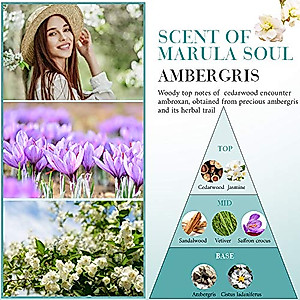 OPPEAL Travel Size 2in1 Shampoo & Conditioner with Marula Oil - 1.05 oz - Hotel Size for Use in Vacation Rental/Guest Room-SLS and Paraben Free-Ambergris Scent(100 Pack)