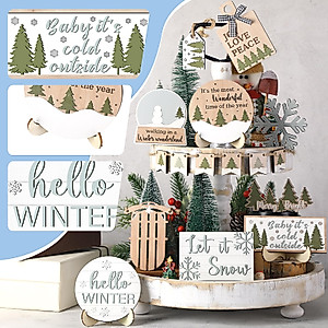Thyle 16 Pcs Winter Tiered Tray Decor Set Wooden Winter Ornament Rustic Farmhouse Decorations for Gifting Table Home Decor