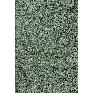nuLOOM Belleza Shag Accent Rug, 2' x 3', Green