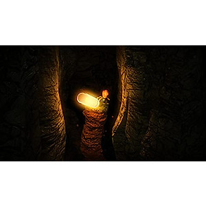 Max The Curse of Brotherhood (PS4)