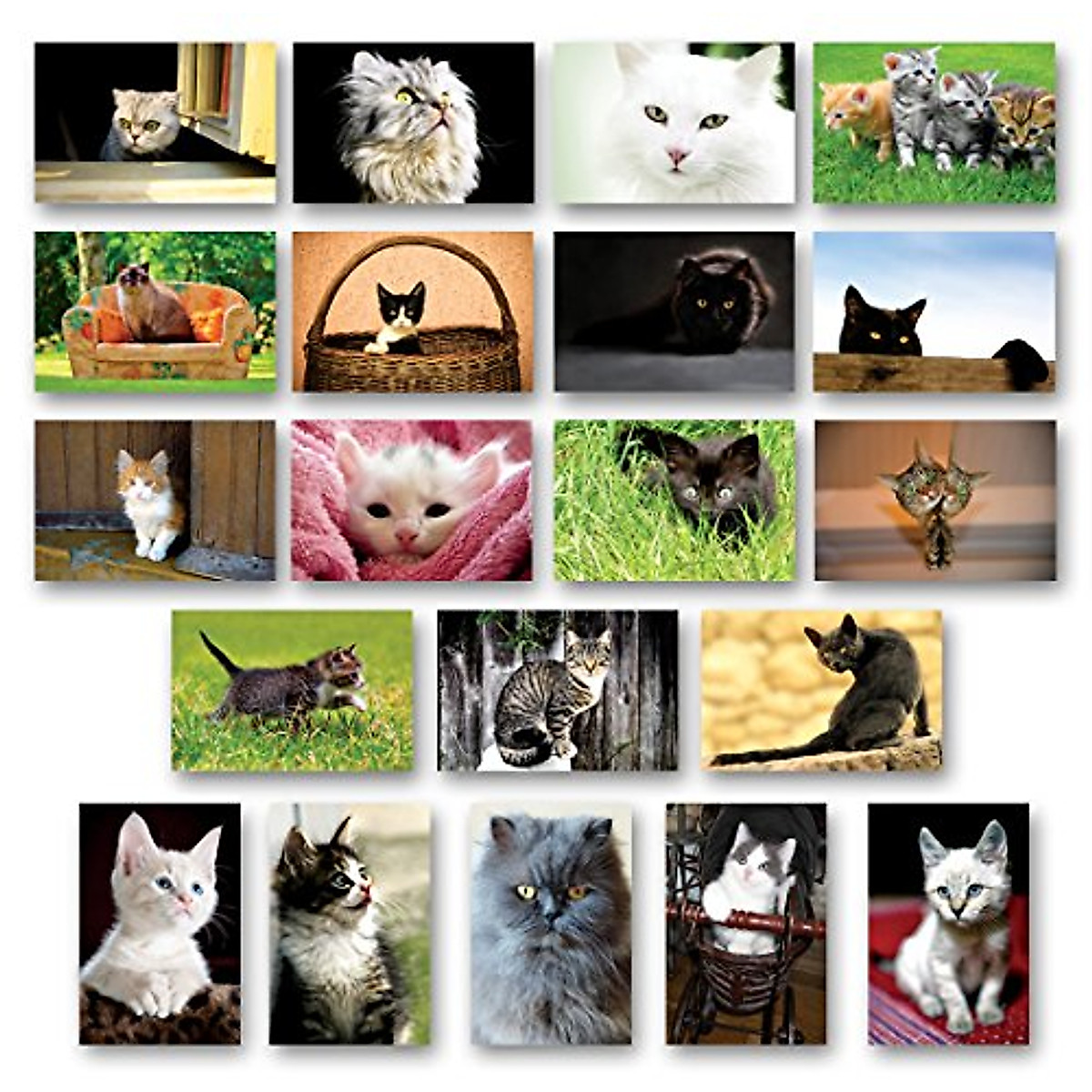 CATS and KITTENS Postcard Set of 20 Postcards. Cat and Kitten Post Card Variety Pack. Made in USA.