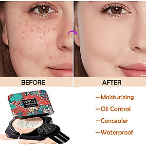 Mushroom Head Air Cushion CC Cream, CC Cream Foundation, Matte Conceal BB Cream, Long Lasting Waterproof Moisturizing Concealer Nude Face Makeup Cushion Foundation with Makeup Sponge (Natural)