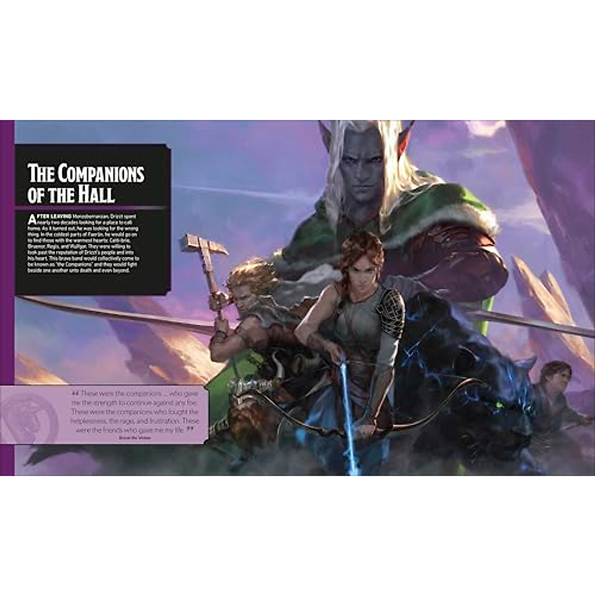Dungeons and Dragons The Legend of Drizzt Visual Dictionary (Dungeons & Dragons)