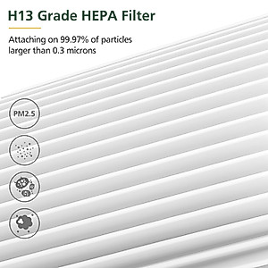 2 Pack H7123101/ H211 / H211S True HEPA Replacement Filter for Govee Life Smart Air Purifier, 4 Layers H13 True HEPA Air Filter for Dust, Pollen, 2 Pack HEPA Filter + 4 Washable Pre-filter
