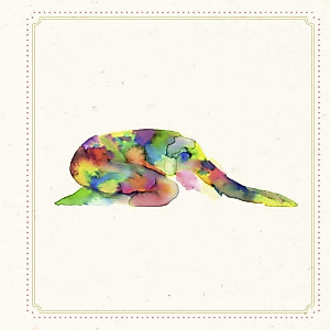 Everything I Need to Know I Learned from My Yoga Teacher