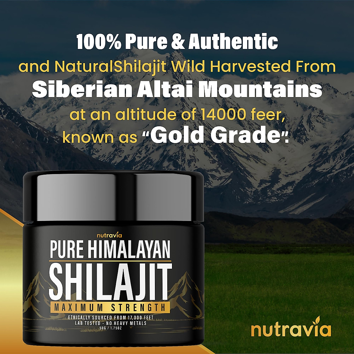 Shilajit Pure Himalayan Organic Resin - Natural Authentic Lab Tested Formula for Men, Women - No Heavy Metals - 600mg Max Strength with 85+ Trace Minerals Golden Grade Shilajit Supplement (1 Pack)