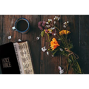 Tabbies Catholic Gold-Edged Bible Indexing Tabs, Old & New Testament Plus Catholic Books, 90 Tabs Including 71 Books & 19 Reference Tabs (58330)