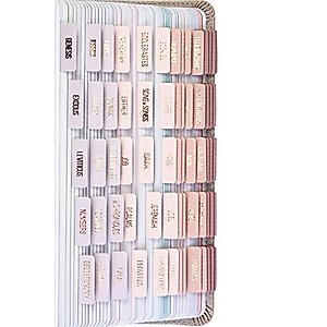 DiverseBee Laminated Bible Tabs (Rose Gold Embossed Lettering), Bible Journaling Supplies, Bible Book Tabs, Christian Gift, 66 Bible Tabs Old and New Testament, Includes 11 Blank Tabs (Pearl)