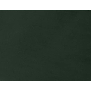 TOV Furniture Yara 31.3" H Velvet Upholstered Sofa in Pleated Forest Green