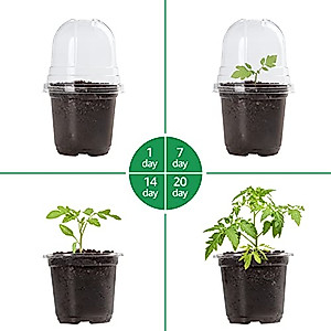 Bluepro Clear Nursery Pots with Humidity Dome 30 Sets 4" Transparent Plastic Plant Pot Seedling Planter Seed Starter Pots Flower Pot with 10pcs Plant Labels for Indoor Outdoor Garden