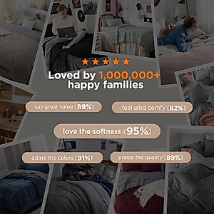 BEDSURE Queen Comforter Set - 7 Pieces Reversible Queen Bed Set Bed in a Bag with Comforters Queen Size, Sheets, Pillowcases & Shams, Grey Bedding Sets