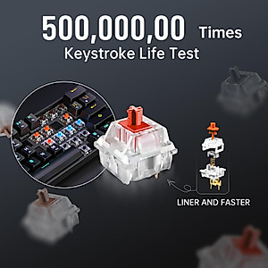 targeal 60% Mechanical Gaming Keyboard - 61 Keys Gateron Red Switch Quiet Office Computer Keyboard - Multi Color RGB Rainbow Led Backlit - Programmable for PC/Windows/Mac/Gamer - USB Wired - Black