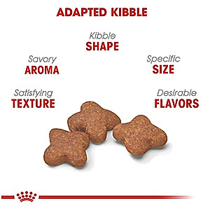 Royal Canin Small Adult 8+ Dry Dog Food, 13 lb bag