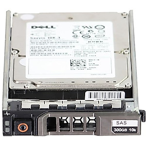 Dell 300GB 10K 6Gbps SAS 2.5 HDD (C975M) (Renewed)