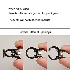 Heeqinn Toothy Orchid Clips, Plant Clips for Climbing Plants Stakes, Can be Used to Clip The stem to Bamboo Stakes, Plant cage or Anything That can Provide Support(100pcs)