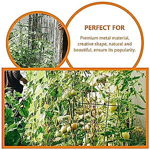 MAGICLULU House Plant Trellis for Potted Plants Plant Climbing Trellis 2pcs Iron Vine Climbing Support Rack Flower Garden Plant Stakes for Rose Vine Pea Ivy Cucumbers Flower Vegetables