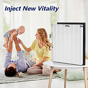 C545 Replacement Filter S for Winix S C545, B151, P150, 9300, 1712-0096-00, 4 True HEPA Filter + 8 Activated Carbon Filters