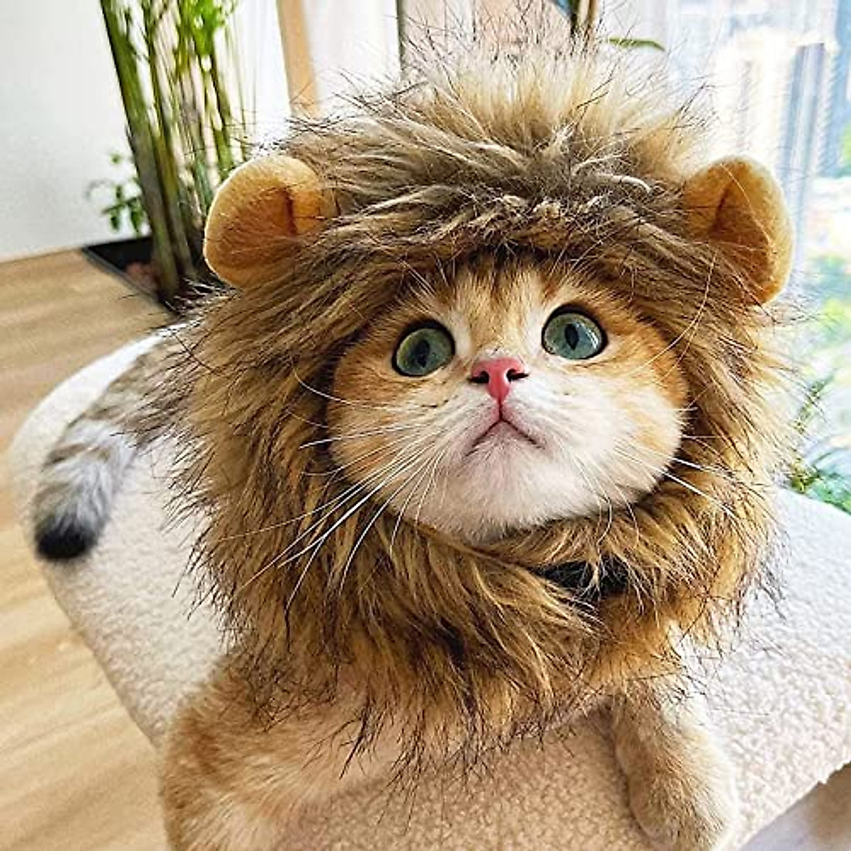 VANVENE Cute Lion Mane Wig Costume for Cat-Pet Adjustable Fancy Lion Hair Cats Outfit for Halloween Christmas Easter Birthday Party Supplies