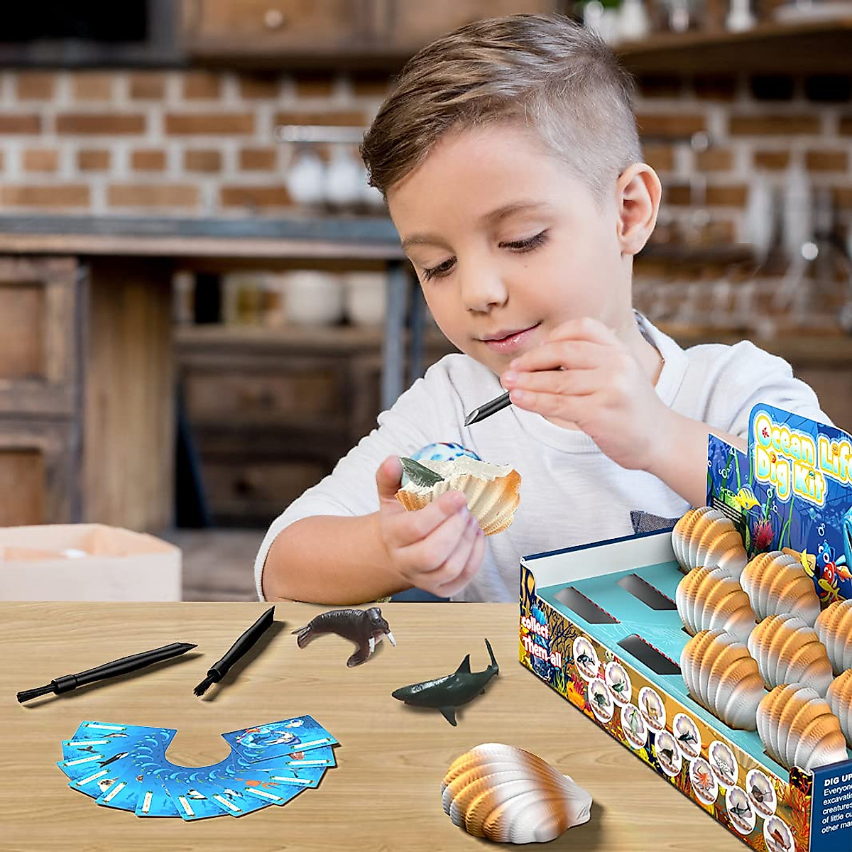 EARTH'SCODE Ocean Animals Dig Kit, Seashell Excavation Dig Bricks, Science Educational Gift for Kids