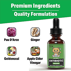 Winnie & Lottie Natural Antibiotics for Cats | Cat Antibiotics | Cat Antibiotic | Pet Antibiotics | Cat Immune Support | Antibiotic for Cats | Cat Multivitamin | Cat UTI Antibiotics | 1 fl oz
