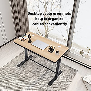 FARRAY Electric Standing Desk with Drawer, 45 x 24 Inch Adjustable Height Desk with Power Strip & USB Ports, One-Piece Top Stand Up Desk, Modern Sit Stand Desk (Oak Top + Black Frame)