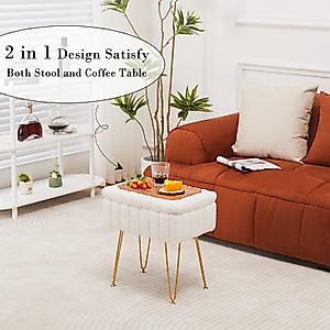 Wimarsbon Storage Ottoman, Vanity Stools with Metal Legs, 16.5" x 11.8" x 18" Modern Faux Mink Fur Footstool, Makeup Chair with Anti-Slip Feet, Accent Table,Footrest,Storage Bench for Bedroom