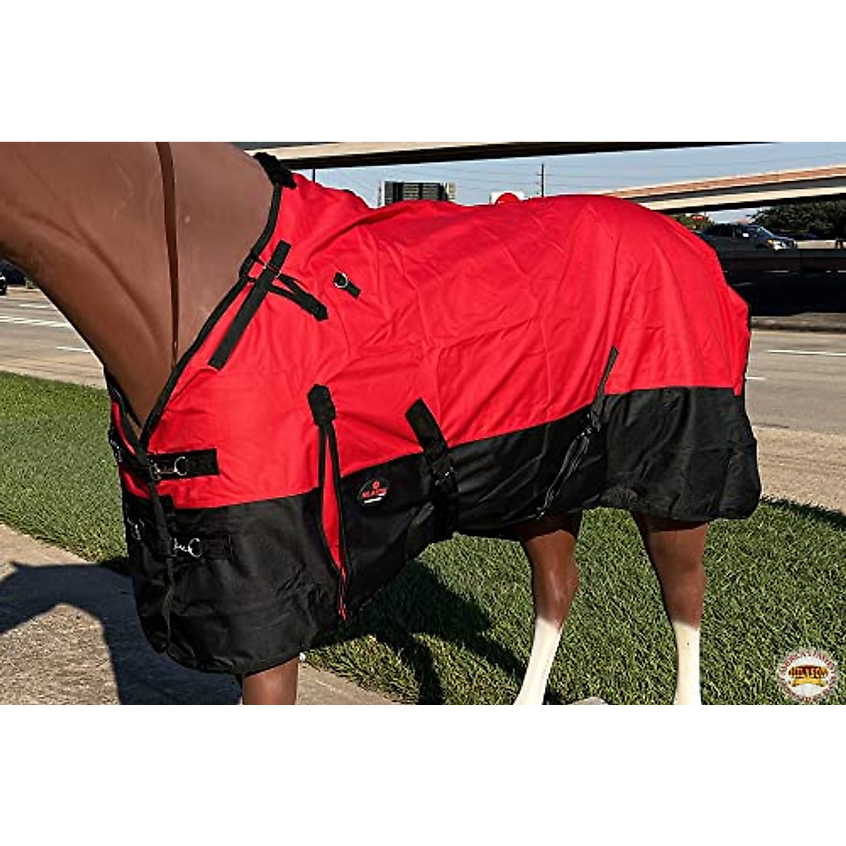 HILASON 600D Winter Waterproof Poly Pony Horse Blanket Red-56 Inches | Horse Blanket | Horse Blankets for Winter Waterproof | Horse Turnout Blanket | Horse Turnout