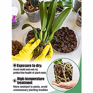 5 Quarts Orchid Potting Bark, Sun-Dried New Zealand Medium Organic Pine Wood Chip Barks for Orchids Mix Plant Compost, Natural Houseplant Mulch for Plant Root Development