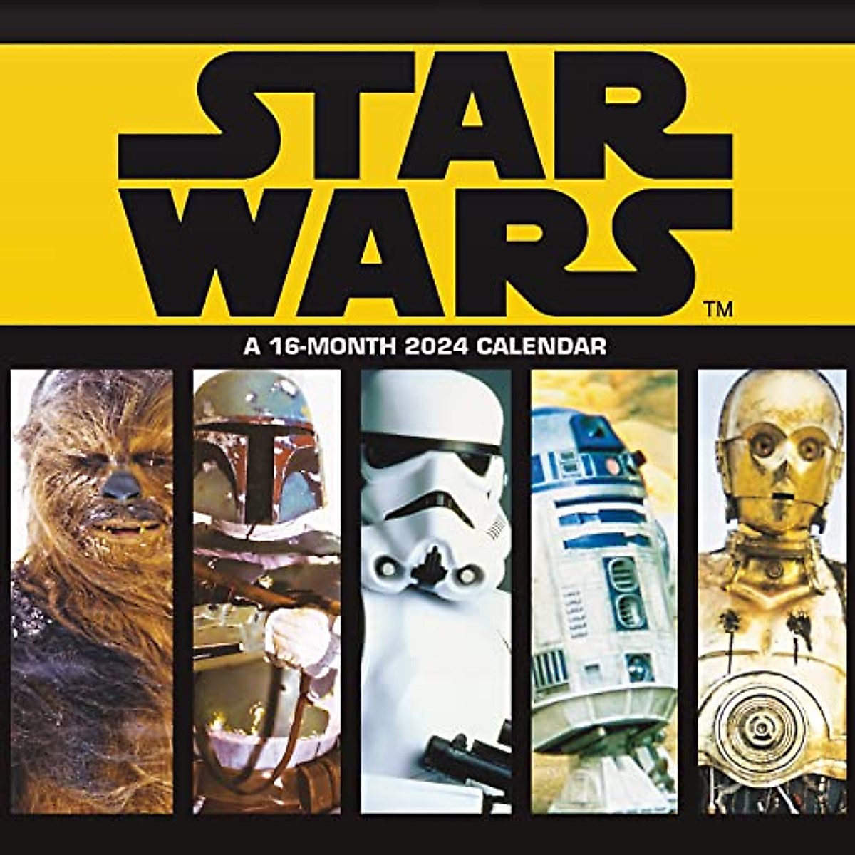 2024 Star Wars: Saga Mini Wall Calendar & Push Pins