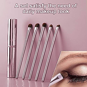 5Pcs Eyeshadow Brush Set, Portable Eye brushes, Premium Eye Makeup Brush, Eyeliner Brush, Angled Brush by YUESHENNAN (pink).