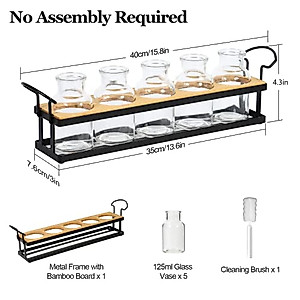 THYGIFTREE Plant Propagation Stations with Metal Stand, Tabletop Plant Terrarium for Propagating Hydroponic, Retro Glass Planter Flower Vase Home Kitchen Office Decor, Plant Lover Gifts, 5 Jars