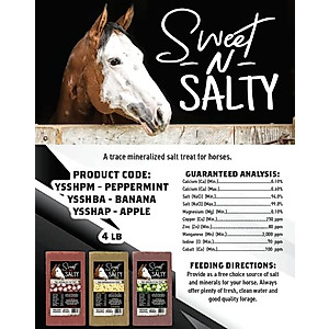 Kalmbach Feeds Sweet N Salty Banana Flavored Salt Treat Brick for Horses, 4 lb