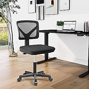 RIMIKING Mesh Low-Back Ergonomic Swivel Chair Computer Chair Task Chair Desk Chair Armless Home Office Chair, Adjustable Height, Black
