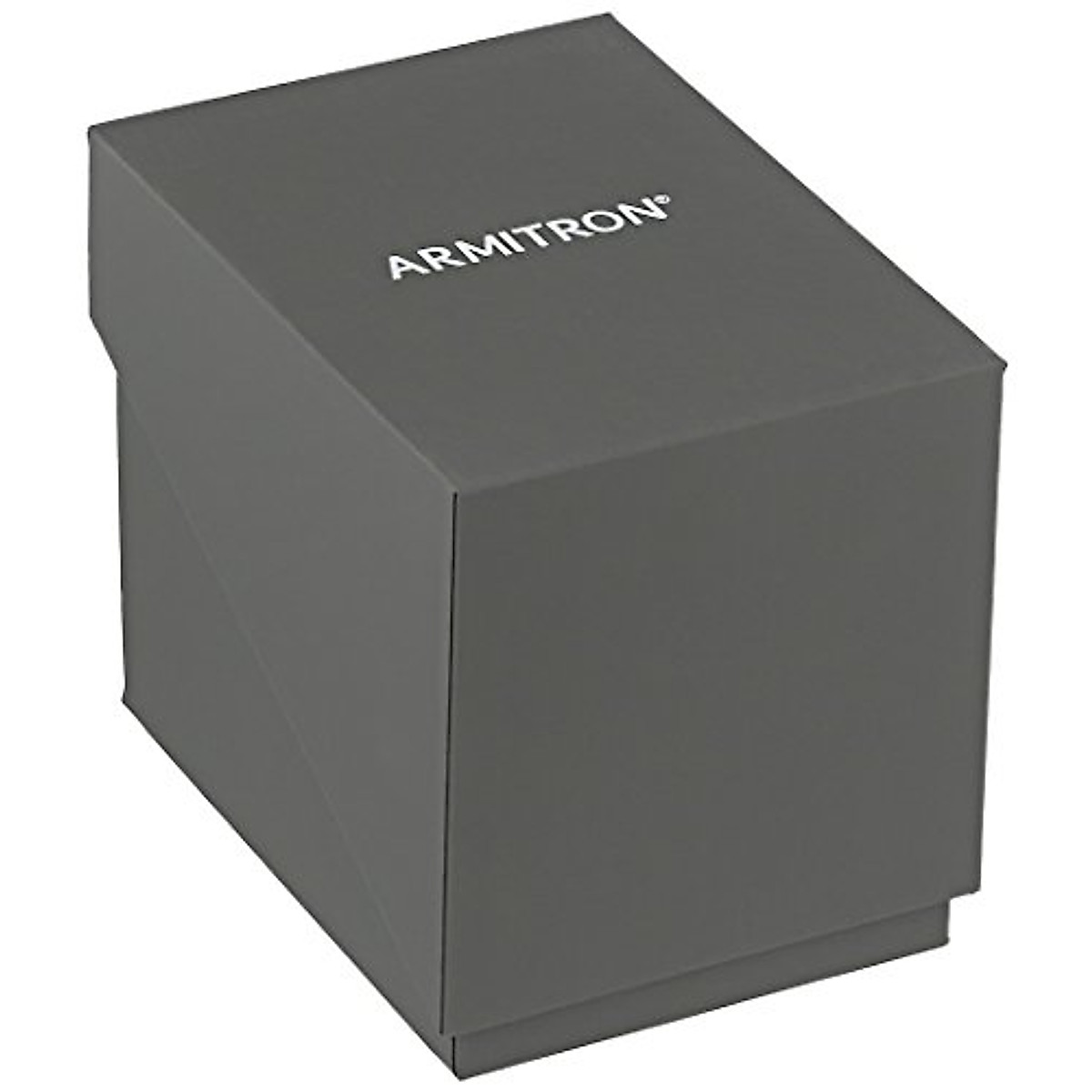 Armitron Men's 20/4591BKTT Day/Date Function Two-Tone Expansion Band Watch