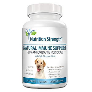 Nutrition Strength Immune Support for Dogs Plus Antioxidant, Reishi, Shiitake, Maitake, Turkey Tail Mushrooms for Dogs, with Coenzyme Q10, Nutritional Support for Dogs, 120 Chewable Tablets
