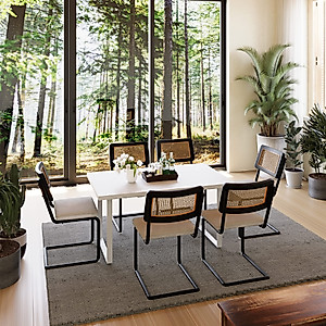 MeetLeisure Patio Dining Chair Set of 2 with Cushion for Outdoor Mid-Century Modern Chairs with Metal Chrome Legs, Armless Mesh Back Cane Chairs, Home Dining Accent Chairs, Beige