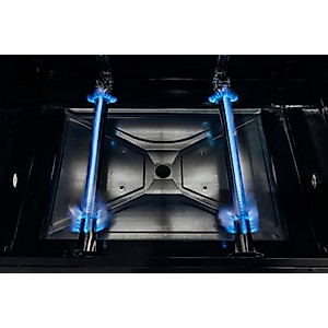 Dyna-Glo DGP321SNN-D Premier 2 Burner Natural Gas Grill, Stainless