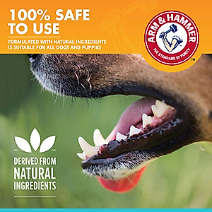 Arm & Hammer for Pets Clinical Care Dental Enzymatic Toothpaste for Dogs | Soothes Inflamed Gums | Safe for Puppies | Fresh Breath Vanilla Ginger - 72 Pack