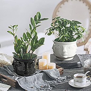 T4U Face Succulent Pots with Drainage 2-Pack - Small Ceramic Head Succulent Planter for Tiny Cactus, Herb, Bonsai Plant, Mini Flower Pot for Indoor Home Office Living Room Decor (No Plants)